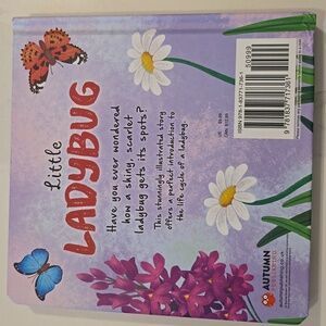 Toys | Little Ladybug Padded Board Book | Poshmark